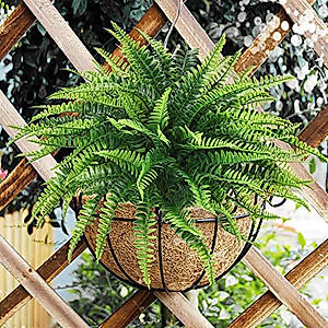Artflower 6 PCS Artificial Shrubs Fake Boston Fern Plants Natural Fern Bushes UV Resistant Greenery Bunches Faux Plants Shrubs for Home Office Veranda Garden Indoor Outdoor Decor, Green