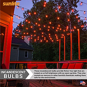Sunlite 7C7 Incandescent Bulb, 7 Watt, Candelabra E12 Base, C7 Small Night Light, Colored Bulb, Red, 8 Count
