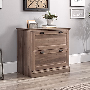 Sauder Barrister Lane 2-Drawer Lateral File Cabinet in Salt Oak, Salt Oak Finish