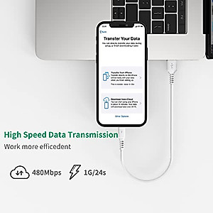 Short iPhone Charger Cord 1ft, 5 Pack USB A to Lightning Data Cable MFi Certified iPhone Charging Cable Fast Charging for Apple iPhone 13/12/11 Pro Max/XR/XS/X/SE/8/7/6/5 Plus, iPad Air/Mini