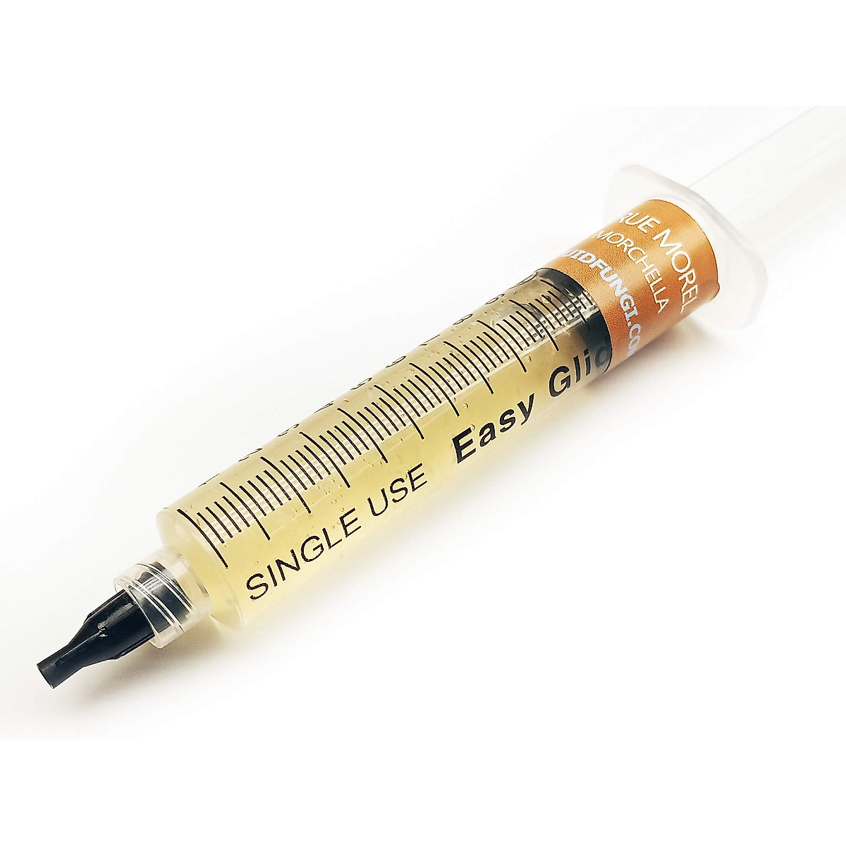 American True Morel Mushroom (Morchella Americana) Liquid Culture Syringe Sample for Mushroom Cultivation Growing on Grain or Agar