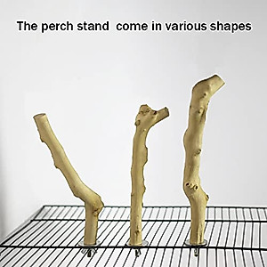 Hamiledyi Wood Bird Perch Stand Parrot Stand Branch Natural Wood Stick Paw Grinding Cage Accessories for Parrots Parakeets Cockatiels Conures Lovebirds(2 Pcs)