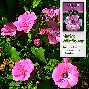 Survival Garden Seeds - Rose Mallow Seed for Planting - Packet with Instructions to Plant and Grow Bright Pink Native Wildflower in Your Home Vegetable Garden - Non-GMO Heirloom Variety