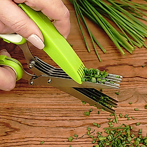 RSVP International (SNIP) Stainless Steel 5 Blade Herb Scissors, Green/White | Cut, Chop, Mince & Snip Herbs | Easy & Safe to Store | Use with Basil, Thyme, Parsley & More | Dishwasher Safe