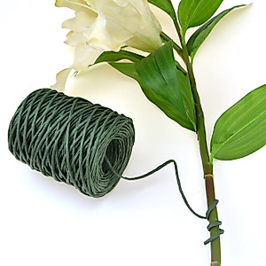 STAR Quality 22 Gauge Floral Stem Wire 54 Yards per Roll| Portable Binding Wire Paper Twine for Gardening | Tens of colors Paper Wrapped Wire Winded DIY Project (2mm x 54 Yards, Dark Green)