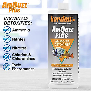 Kordon Amquel Plus Aquarium Water Conditioner - Instantly Detoxifies Ammonia, Nitrite, Nitrate, and Chlorine Remover for Freshwater & Saltwater Aquariums, 16 Ounces