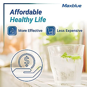 Maxblue Replacement for GE® RPWFE®, RPWF (with CHIP) Refrigerator Water Filter, Compatible with WSG-4, WF277, GFE28GMKES, PFE28KBLTS, GFD28GSLSS, PWE23KSKSS, GYE22HMKES, DFE28JSKSS, 2 Filters