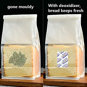 200cc Oxygen Absorbers for Food Storage, Oxygen Absorbers Works in Mason Jars, Mylar bags, Vacuum Bags for Long Term Food Storage, 100 Packs(10x Packs of 10)