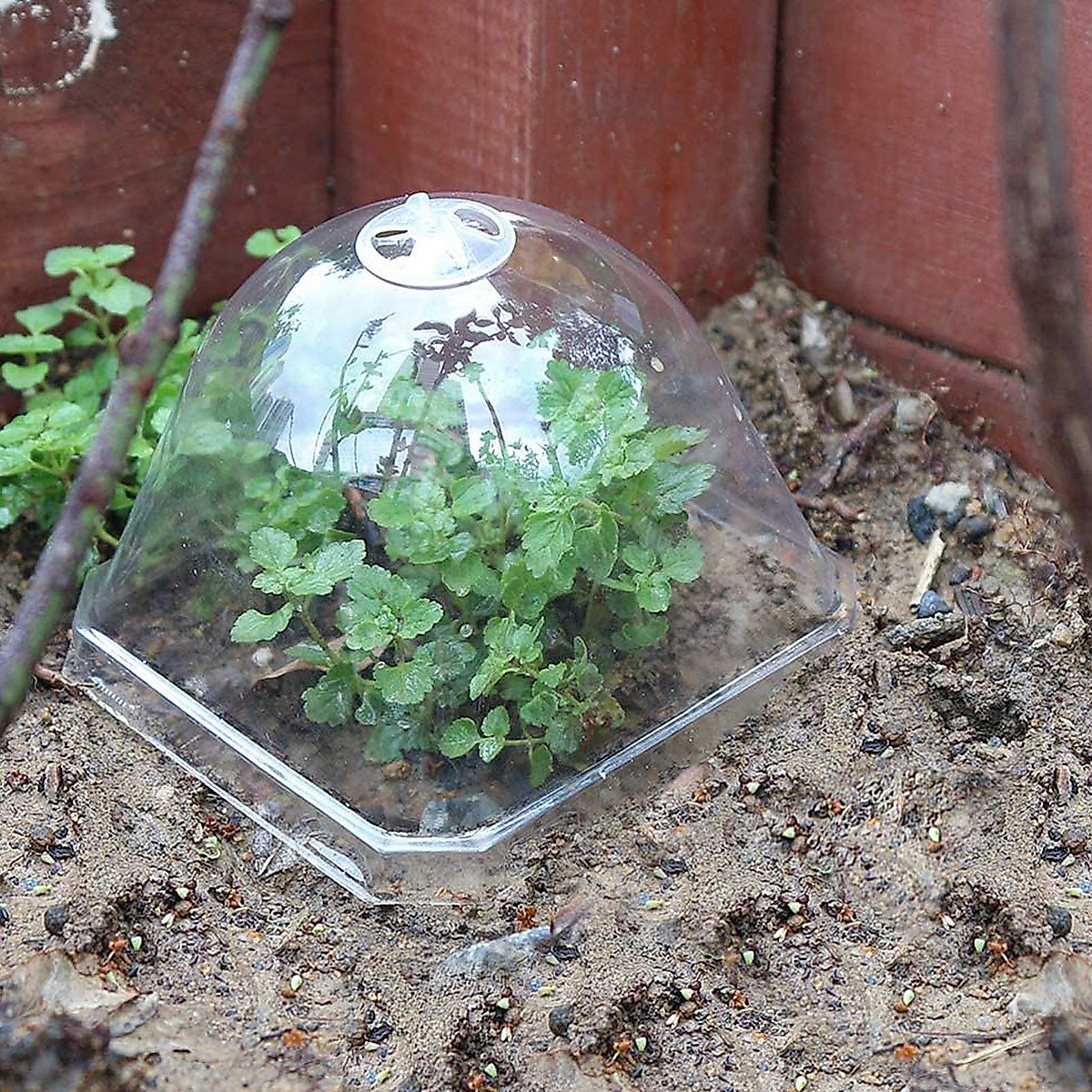 Yardwe Flower Pot Seedling Cover Humidity Dome Round Transparent Plant Dome Plastic Plant Cover Plant Cloche Plastic Freeze Protection Cloche Humidity Domes for Starting Protective Cover