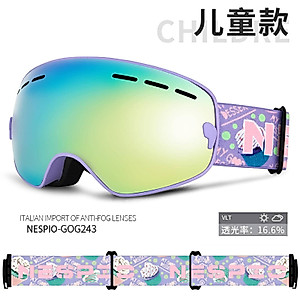 ZSQZJJ Ski Goggles Double Layer Antifog Glasses Mountaineering Ski Goggles