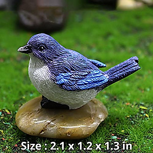 Fairy Garden Accessories, Mini Bird and Bird Nest 4 Piece Miniature Figures Fairy Garden Miniature Moss Landscape DIY Ornament Accessories, Miniature Landscape Decor, Car Decor, Home Decor, Fairy