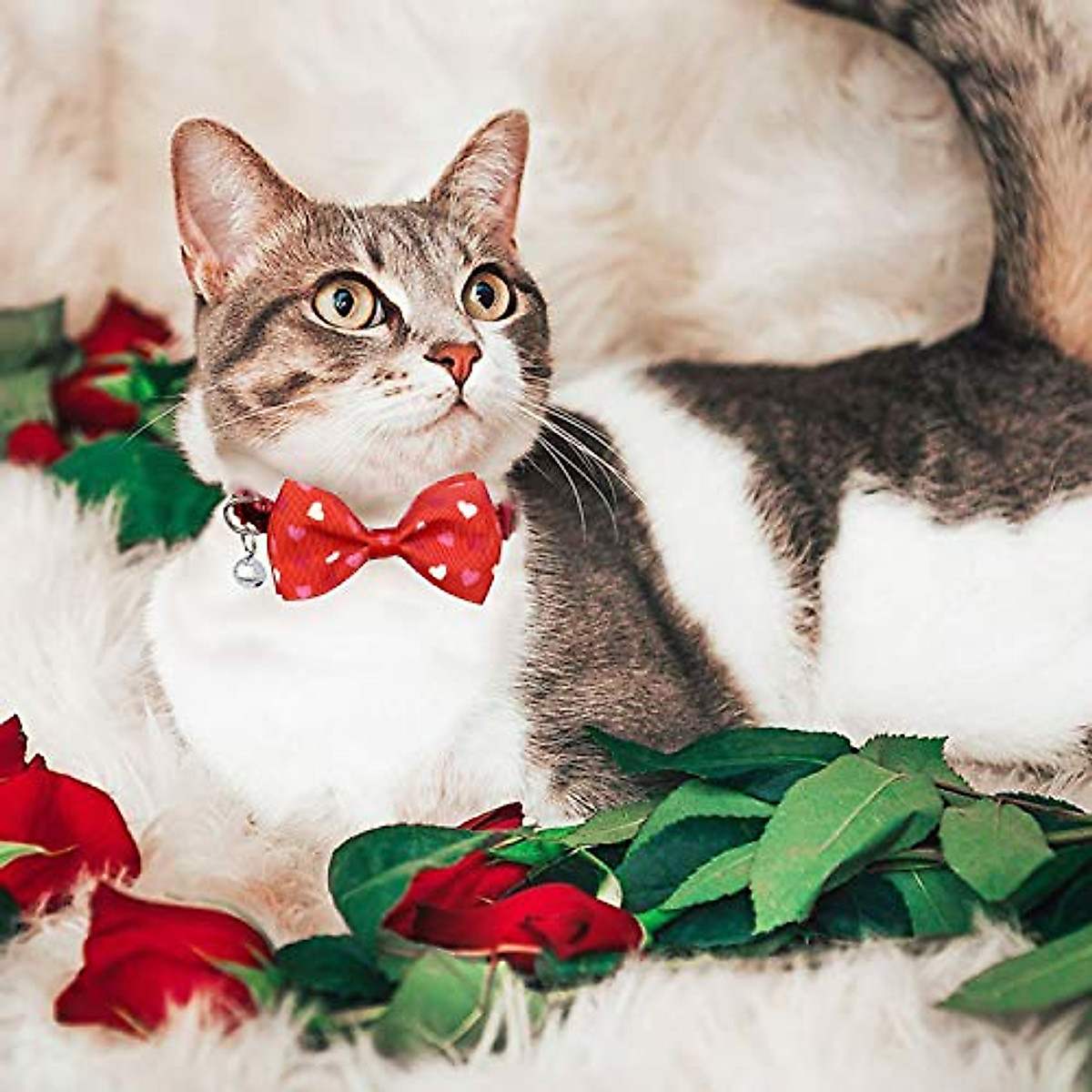 Pohshido Valentine's Cat Collar with Bow Tie and Bell, Holiday Breakaway Loving Heart Kitty Kitten Collar for Girls and Boys Male Female Cats (Love Song)