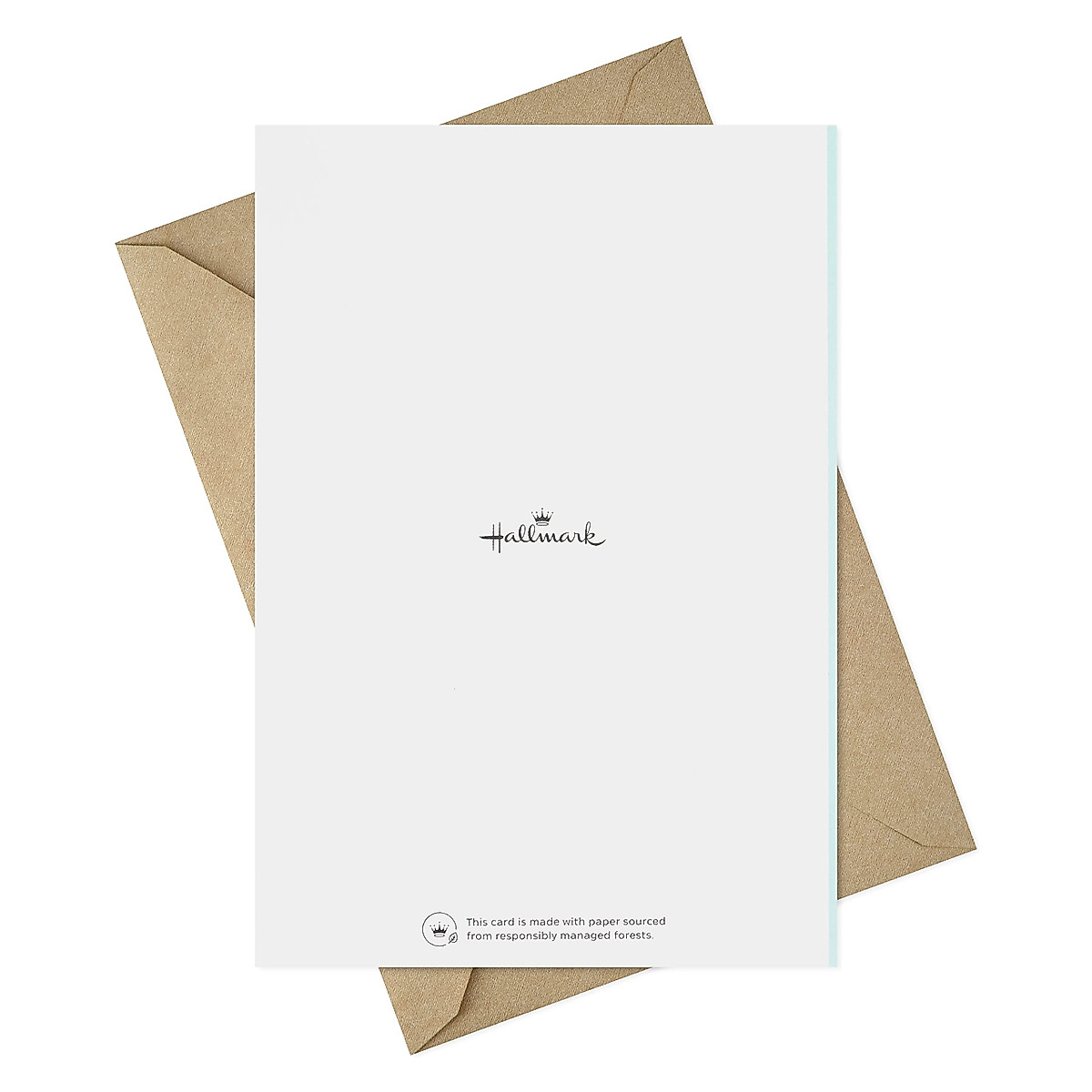 Hallmark Pet Sympathy Cards Assortment, Hearts and Rainbows (16 Cards and Envelopes)