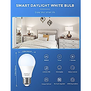 LOHAS Smart Light Bulb Work with Alexa, Google Home & Siri, A19 WiFi LED Bulb Daylight 5000K, 9W 60W Equivalent, Dimmable, 850LM
