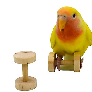 Parrot Bird Toy Supplies Gnawing Dumbbell Weight Lifting Training Intelligence Development Props Bird Tools for Parrots Budgie Parakeet Cockatiel Cockatoo Conure