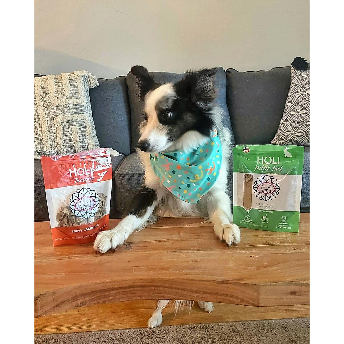 HOLI Rabbit Single Ingredient Dog Food Protein Topper - Made in USA – Human-Grade Freeze Dried Dog Food Mix in Topping – Grain Free, Gluten Free – 100% All Natural - 2oz