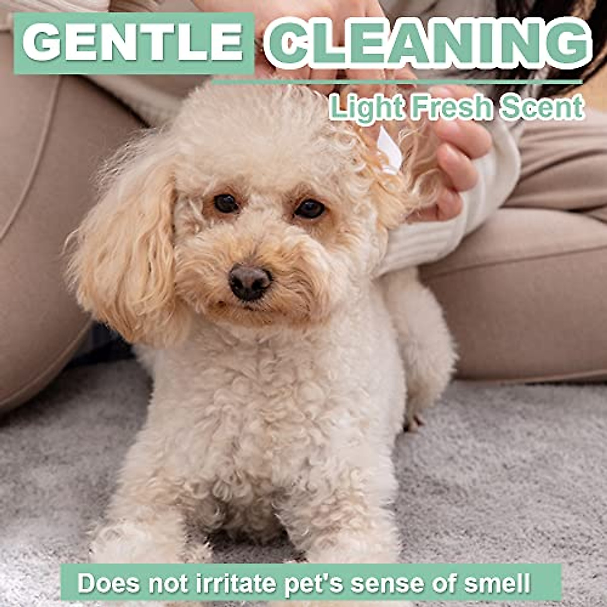 Air Jungles Pet Grooming Wipes for Dogs and Cats 100 Count, 8" x 10" Extra Large Plant-Based Earth-Friendly Hypoallergenic Deodorizing Pet Wipes for Paws Body Face Ear Butt