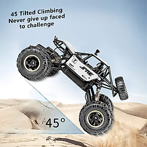GoolRC 1/16 Alloy RC Car, 2.4GHz Remote Control Buggy, 4WD Off-Road Rock Crawler, 15km/h High Speed Climbling Truck Car RTR for Kids (Silver)