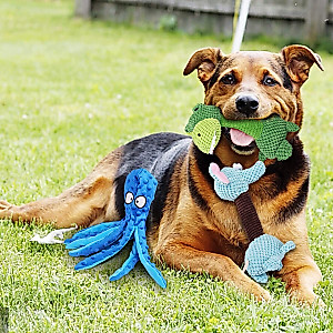 KuddelMuddel Squeaky Plush Dog Toy Set, Stuffed Fun Elephant and Cute Frog, Interactive Soft Chew Pet Toy for Puppies, Small Medium and Large Breed Holiday Birthday Gift (2 Pack)