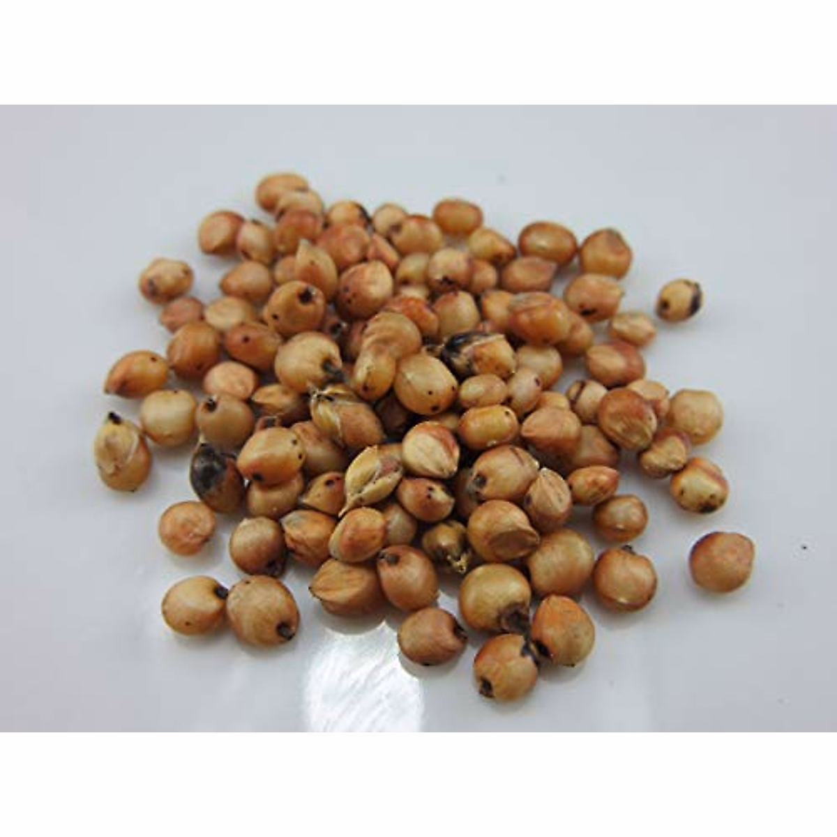 1099-Sugarcane, World's Tallest (Saccharum officinarum) Seeds by Robsrareandgiantseeds UPC0764425786917 Non-GMO,Organic,Bonsai, 1099 Package of 45 Seeds