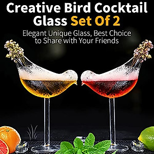 SuproBarware Cocktail Glass - Bird Glass Clear Wine Glasses Set of 2 Goblet Beverage Glass 5 Ounce for Party Wedding