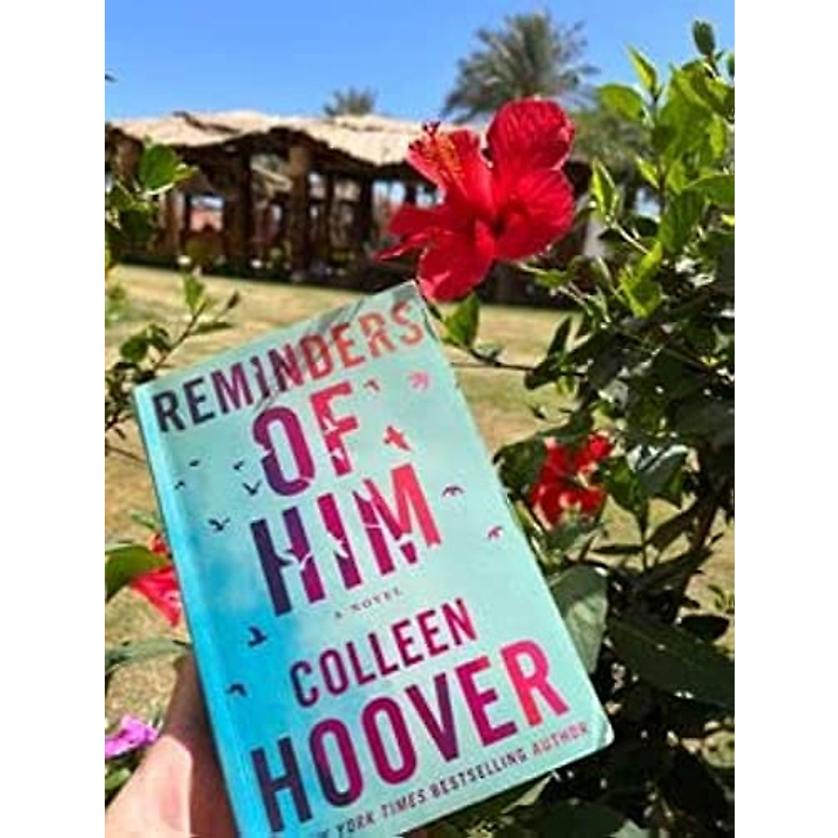 Reminders of Him: A Novel