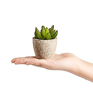 PRIMAISON Artificial Succulents Plants Potted Set-Decorative Fake Succulent Plant Faux Plastic Plant Indoor &Outdoor for House Office Desk Bathroom Kitchen DIY Decor Gift Set of 6
