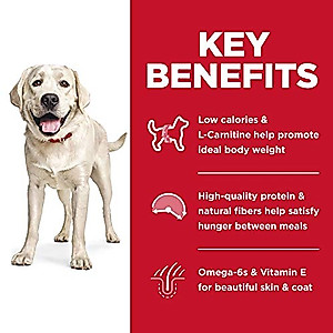 Hill's Science Diet Dry Dog Food, Adult, Large Breed, Light, Chicken Meal & Barley Recipe For Healthy Weight & Weight Management, 30 Lb. Bag