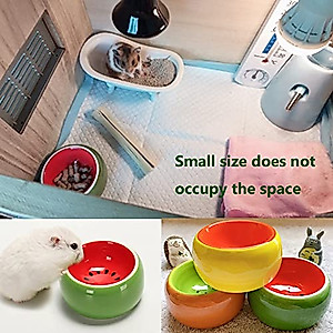 Hamster Bowl Ceramic Small Animal Bowl Hamster Food Dish Prevent Knocking Over, Food Splashing and Chewing Feeding Dish for Gerbil Chinchilla Rat Ferret Hedgehog