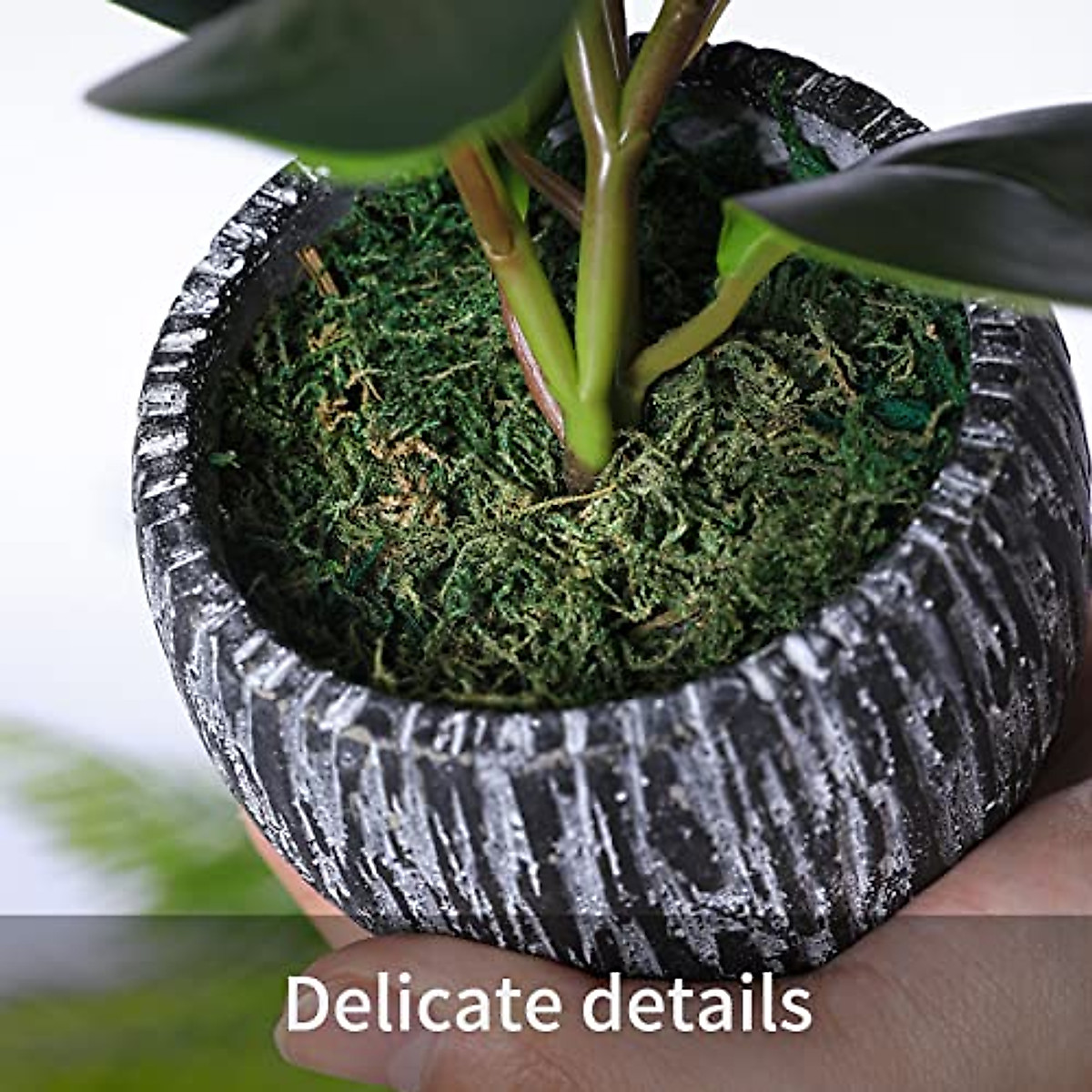 LORYDECO Artificial Potted Plants, Real Looking Fiddle Leaf Fake Plant with Pot, Plastic Watercress Leaves Small Faux Trees with Cement Planter, Greenery Plant Table Decor for Home Indoor