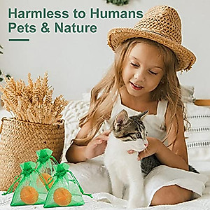 5 Pack Natural Cat Repellent Outdoor Indoor, Peppermint Oil Cat Deterrent Outdoor Repels Cat Dog Deer Rabbit from Garden Yard Lawn Home Keep Your Yard Lawn Porch Furniture Curtain from Cat Damages