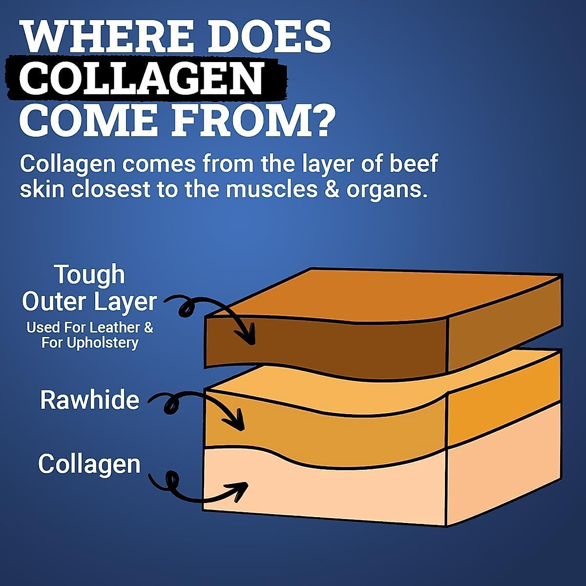 Chew Safe Premium Rolls Dog Chew Treats | Beef | 2-Pack | Two 10" Rolls Per Pack | Rawhide Alternative | Long Lasting, High Protein, Highly Digestible for Small Dogs, for Healthy Teeth