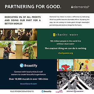 Elemental Iconic Kids Water Bottle with Straw Lid & Stress Reliever Pop It Handle, Leak-Proof When Closed, Triple Insulated Stainless Steel Reusable Thermos Water Bottle, 20oz - Dinosaur