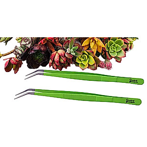 Tweezers For Succulents Duo