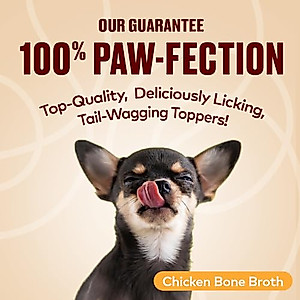 Furvor Chicken Bone Broth for Dogs - Collagen Protein Supplement for Digestion, Mobility, Coat, Immunity, Healthy Dog Food Topper, Meal Boost Gravy, Grain Free, Just Add Water, Made in USA, 12 oz