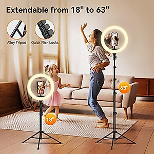 TODI 12" Ring Light with 63" extendable Tripod Stand, Selfie Ring Light with Phone Holder and Wireless Remote, 【2-in-1】 Dimmable LED Ring Light & Selfie Stick for Makeup/Live Stream/Photography