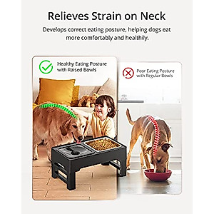 Petace Elevated Dog Bowls, Raised Dog Bowl Stand with No Spill Dog Water Bowl & Stainless Steel Dog Food Bowl, 4 Heights Adjustable for Small Medium Large Dogs and Pets