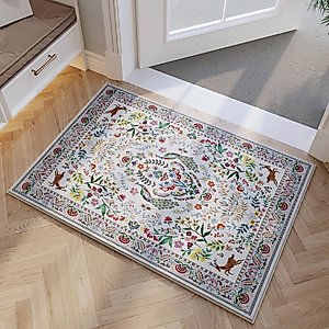 Rugcomf Entryway Rug 2x3 Rug Door Mat Indoor Entrance Washable Rug Small Non-Slip Low Pile Throw Rugs for Entryway, Kitchen, Front Door Indoor Entrance, Entry(Colorful)