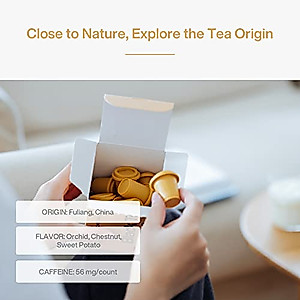 SATURNBIRD Express Fuliang Black Tea, Premium Instant Tea Powder, Cold Brew Tea, Freeze-drying Tech, Ice/Hot Water/Milk, No Additives, 12 Single Serve(2 Packs, 24 count total)