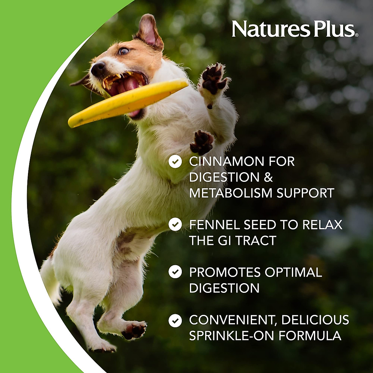 Natures Plus FurBaby Digestive Support for Dogs - 7.4 oz - Promotes Optimal Digestion - Non-GMO - 60 Servings