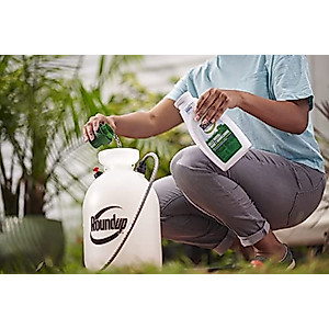 Roundup 5008410 Lawns 5 Concentrate, 32oz