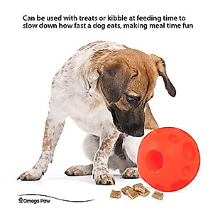 Omega Paw Tricky Treat Ball, Large