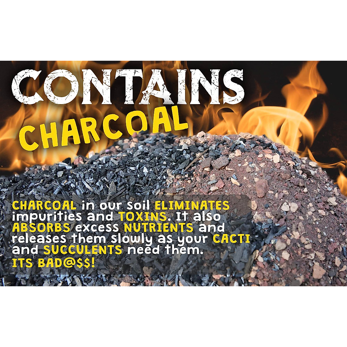 High Drainage Cactus Soil Potting Mix with Mycorrhizal Fungi - 8 Pounds / 4 Quarts of Soil for Succulents and Cactus - Slightly Acidic, Gritty Soil for Healthy Indoor Plants - Spike & Bloom