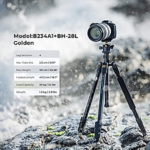 K&F Concept 64 inch/161cm Camera Tripod, Compact Aluminum Alloy Travel Tripods with 28mm Metal Ball Head 10KG/22lbs Load Capacity, Detachable Monopod, for SLR DSLR Digital Camera(B234A1+BH-28L)