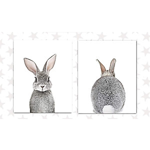 Designs by Maria Inc. Baby Nursery Wall Decor Art - Set of 2 (UNFRAMED) Wall Artwork 8x10 Baby Bunny Front and Back Photographic Print