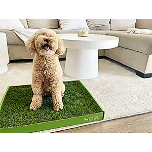 DoggieLawn Real Grass Puppy Pee Pads- 24 x 20 Inches - Perfect Indoor Litter Box for Dogs - No Mess, Easy-to-Use - Potty Training for Pets - Eco-Friendly Disposable Bathroom with Real Living Grass
