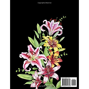 Address Book Large Print: Address Book Large Print For Seniors : Telephone Address Book Big Print With A-Z Alphabet Index : Records Name, Address, Phone, E-mail address with Note Section