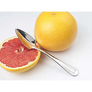 JUCOXO Grapefruit Spoons Set, 4 Pieces 6.1 inch Stainless Steel Half Serrated Citrus Fruit Vintage Dessert Spoons Gift for Kitchen