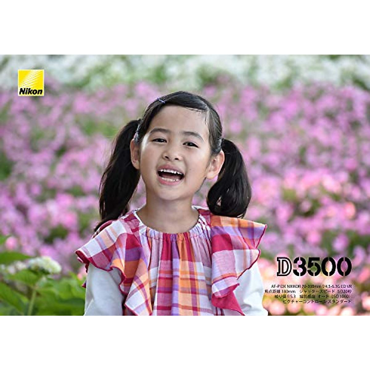 Nikon D3500 24.2MP DX-Format DSLR Digital Camera (Body Only) - (Black) - (Japan Import)