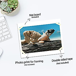 Golden State Art, 8x10 White Uncut Mat for Pictures/Frames - Pack of 10 - Acid-Free Mat Boards for Artworks, Prints, Photographs - Great for Weddings, Engagements, Graduations - Signature Friendly